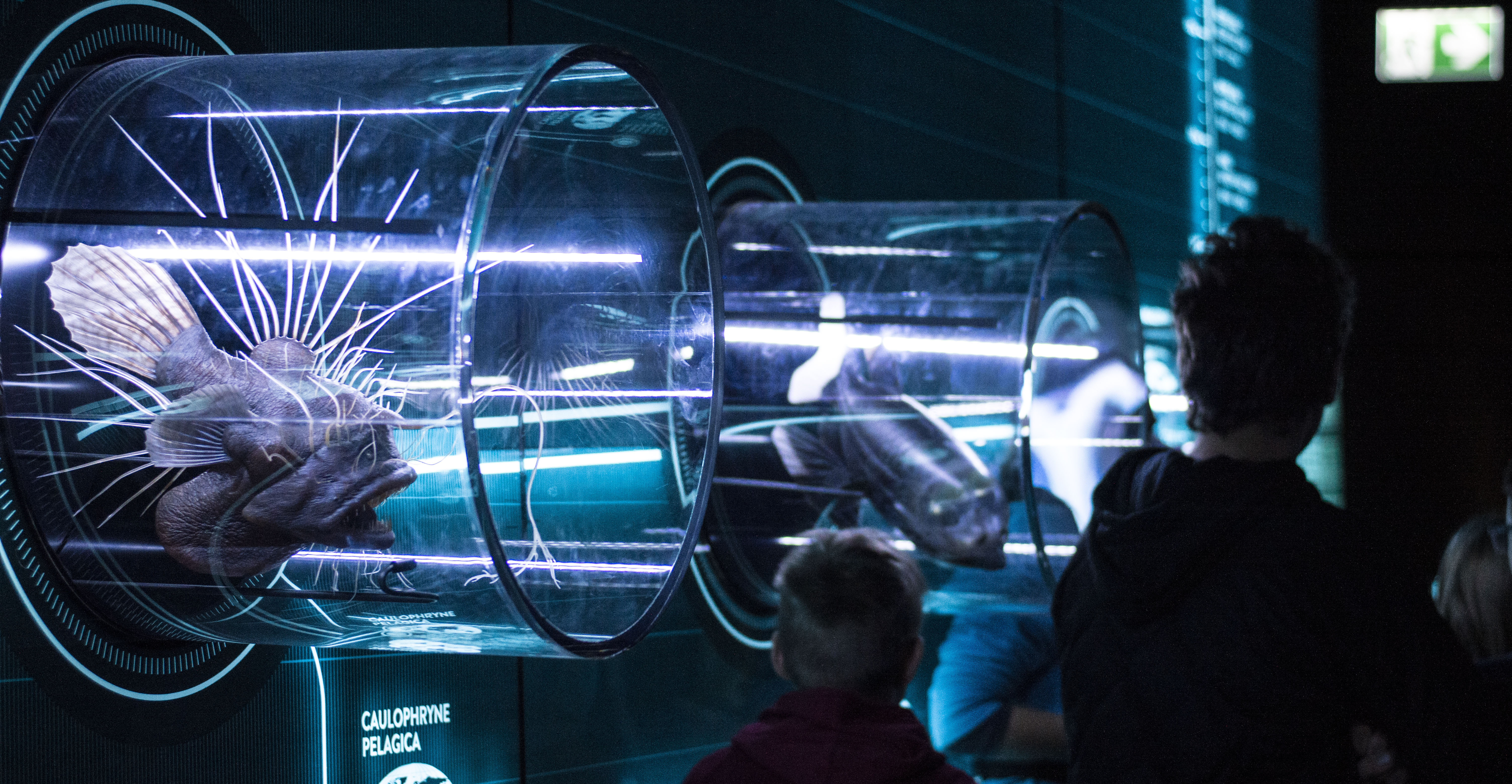 That one museum kids die to see. Hydropolis in Wrocław. – Solo female ...